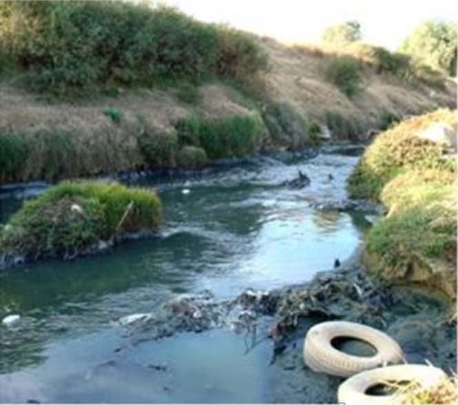 Contaminación del río Rocha provoca graves enfermedades - ANF Agencia ...
