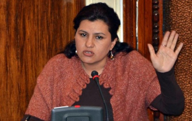 Delgado asevera que proyecto de ley de Aplicación Normativa vulnera la ...