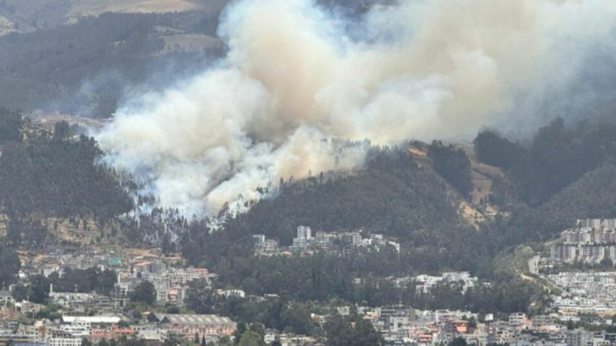 Ecuador decreta la emergencia nacional por los incendios forestales y ...