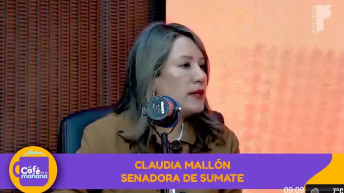 Senadora Mallón propone hasta 10 años de cárcel para bloqueadores de ...